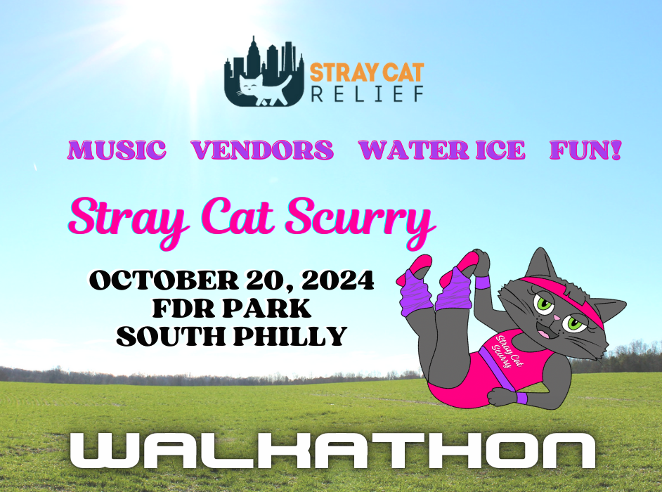 Stray Cat Scurry - Stray Cat Relief